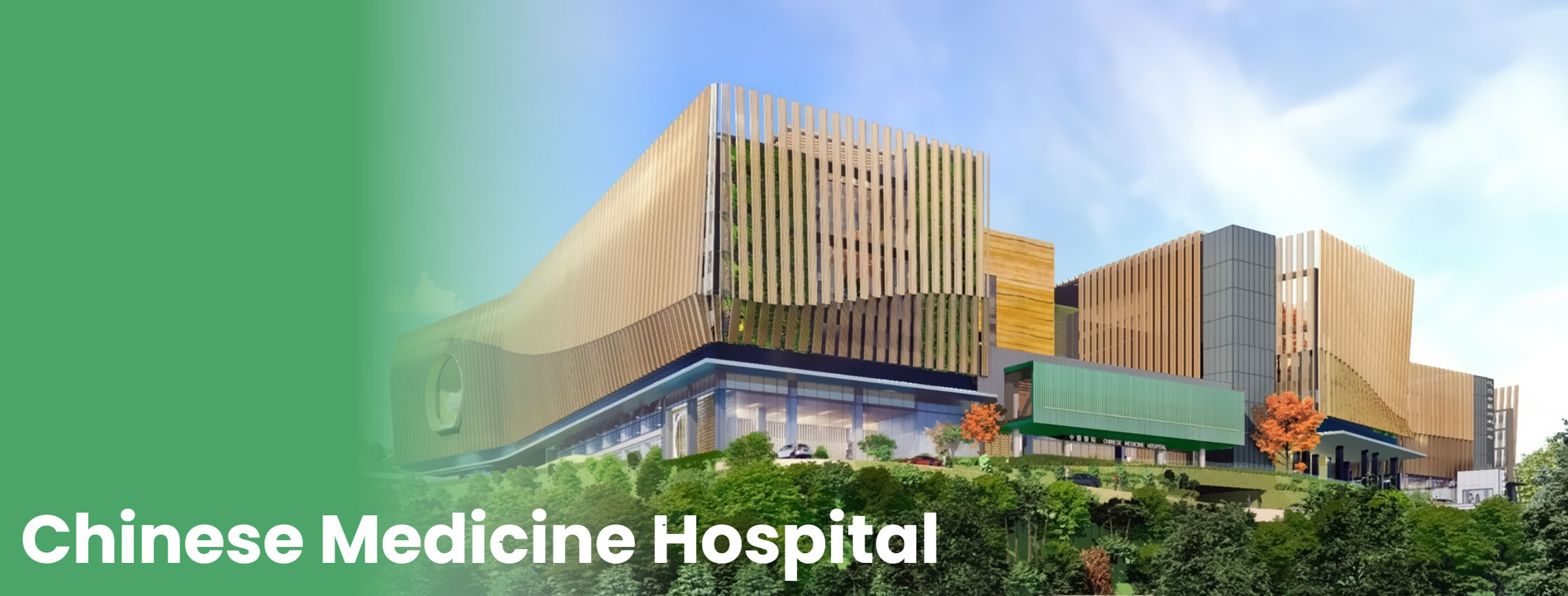 Hong Kong’s First Traditional Chinese Medicine Hospital: Long Awaited ...